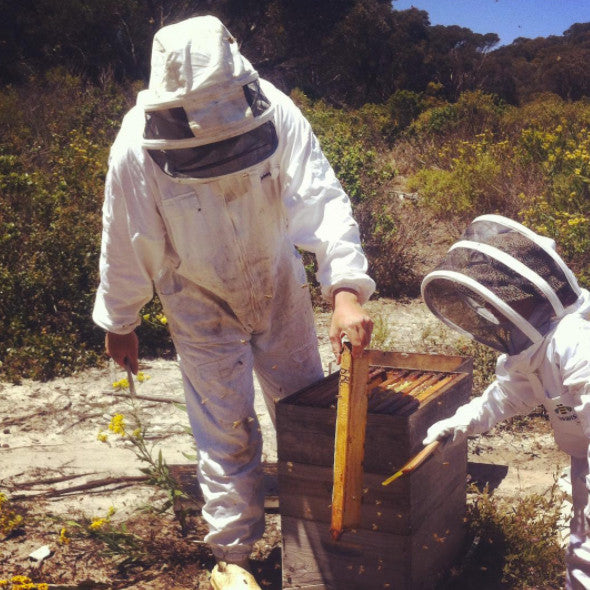 So proud of my little bee keeper – bush organics